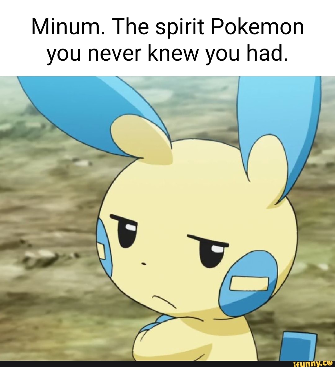 Minum memes. Best Collection of funny Minum pictures on iFunny