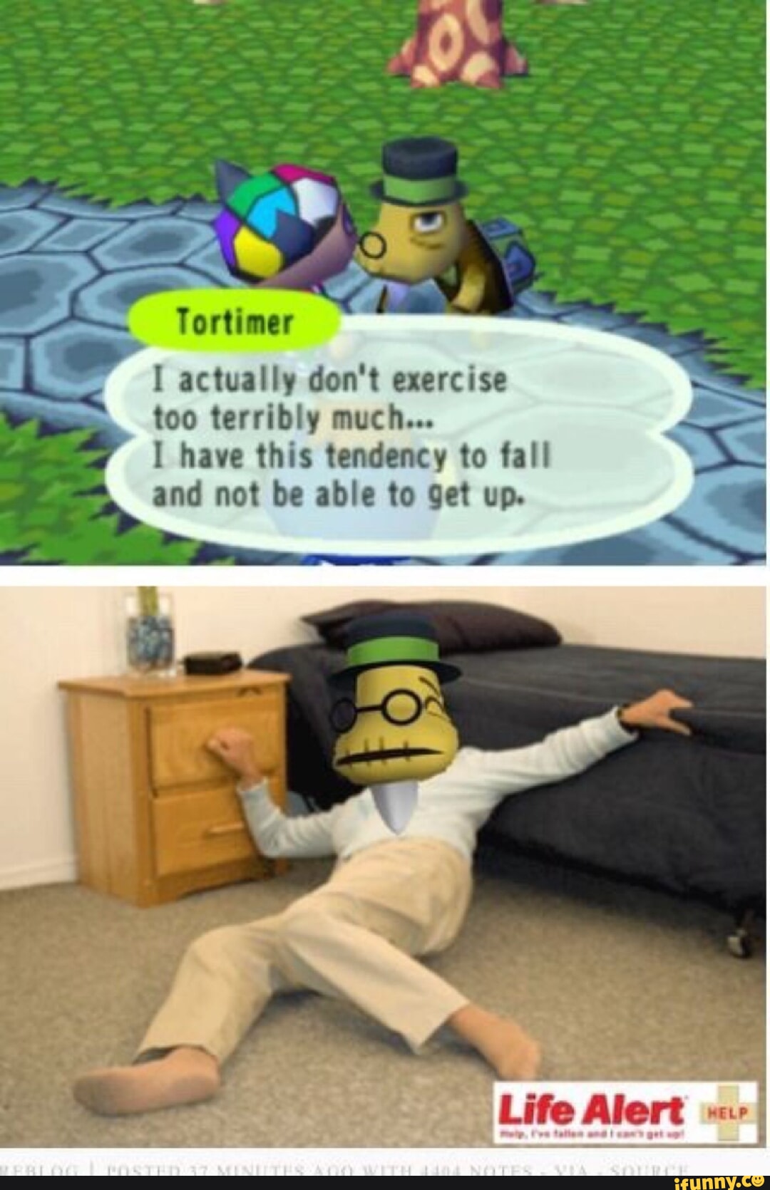 Hi herbert trilogy - iFunny