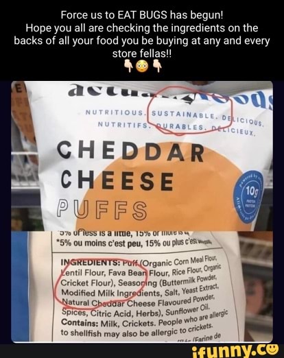 Force us to EAT BUGS has begun! Hope you all are checking the ...