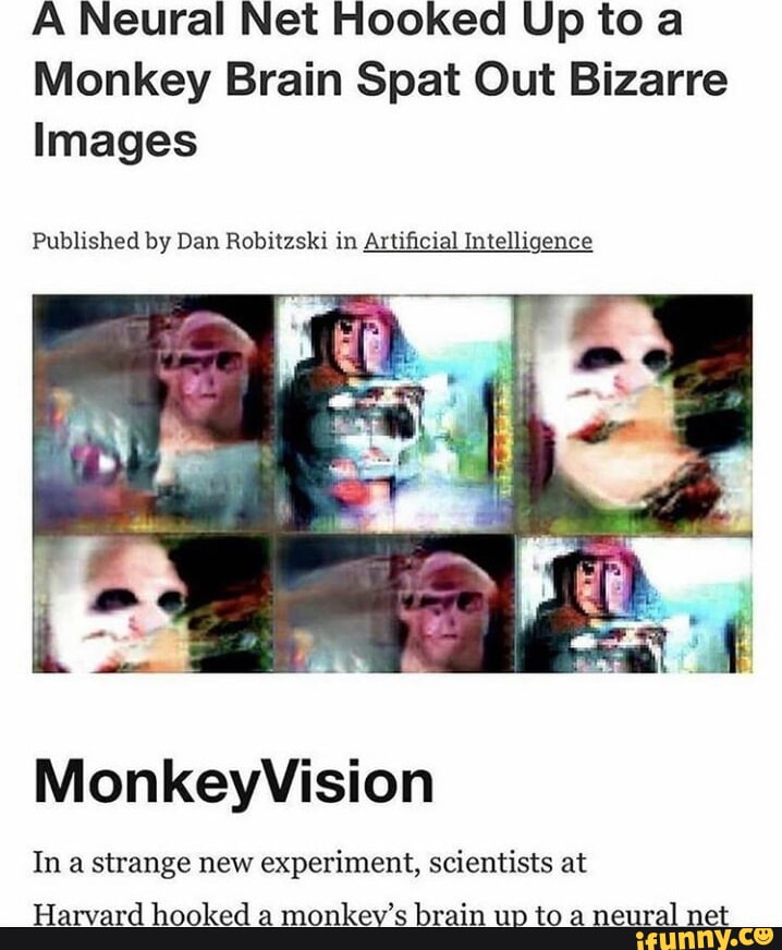 A\ Neural Net Hooked Up to Monkey Brain Spat Out Bizarre Images ...