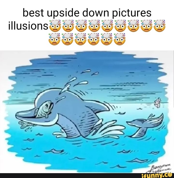 Best upside down pictures illusions - iFunny