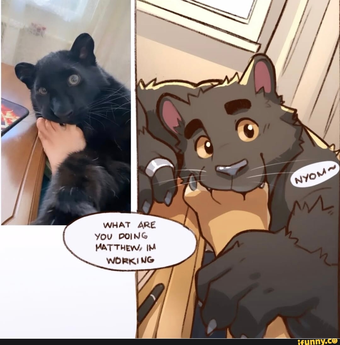 WHAT ARE You POING VAT THEW, IM WORKING - iFunny