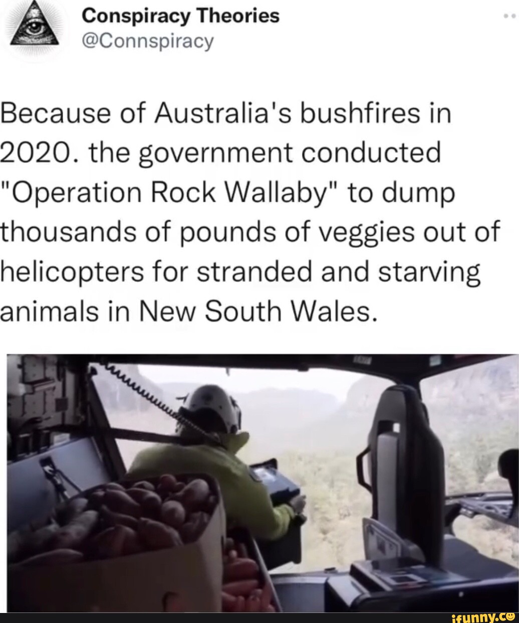 Wallaby memes. Best Collection of funny Wallaby pictures on iFunny