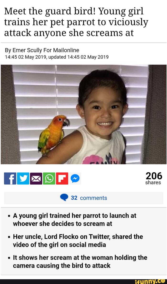 Meet the guard bird! Young girl trains her pet parrot to viciously ...