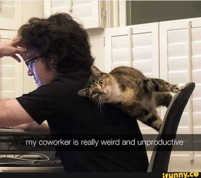 My coworker is really weird and unproductive - iFunny