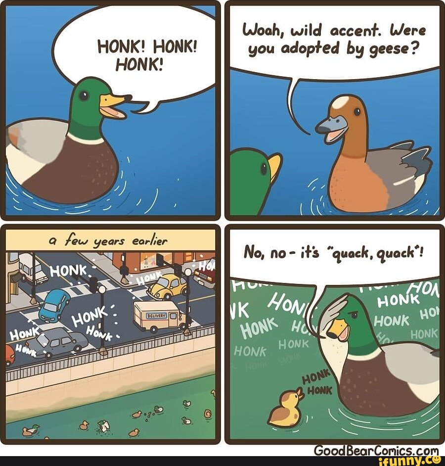 Honk memes. Best Collection of funny Honk pictures on iFunny