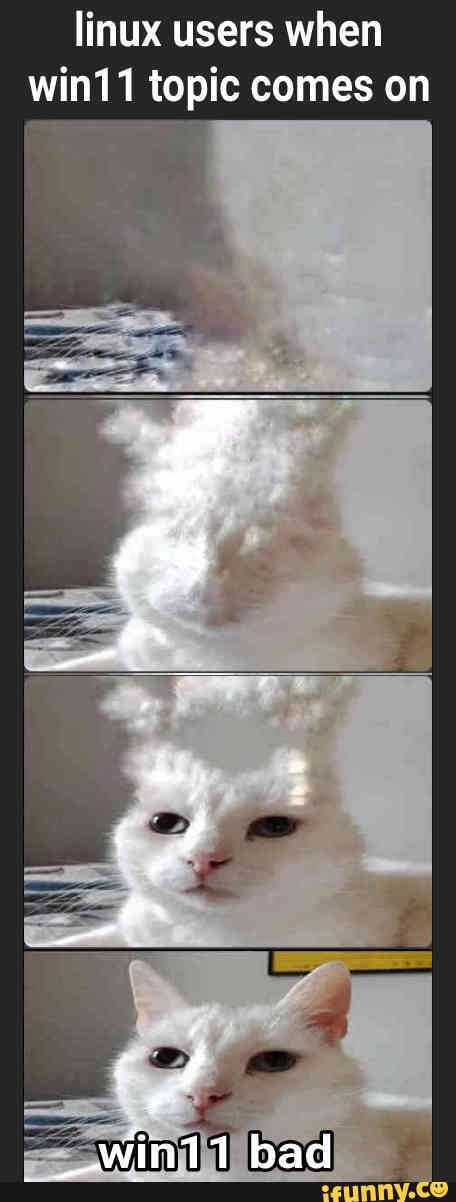Win11 memes. Best Collection of funny Win11 pictures on iFunny