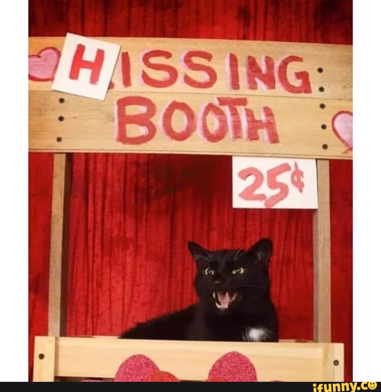 Boon memes. Best Collection of funny Boon pictures on iFunny