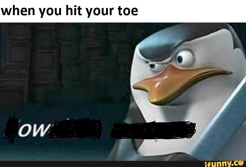 Kowalski memes - when you hit your toe Ow - iFunny