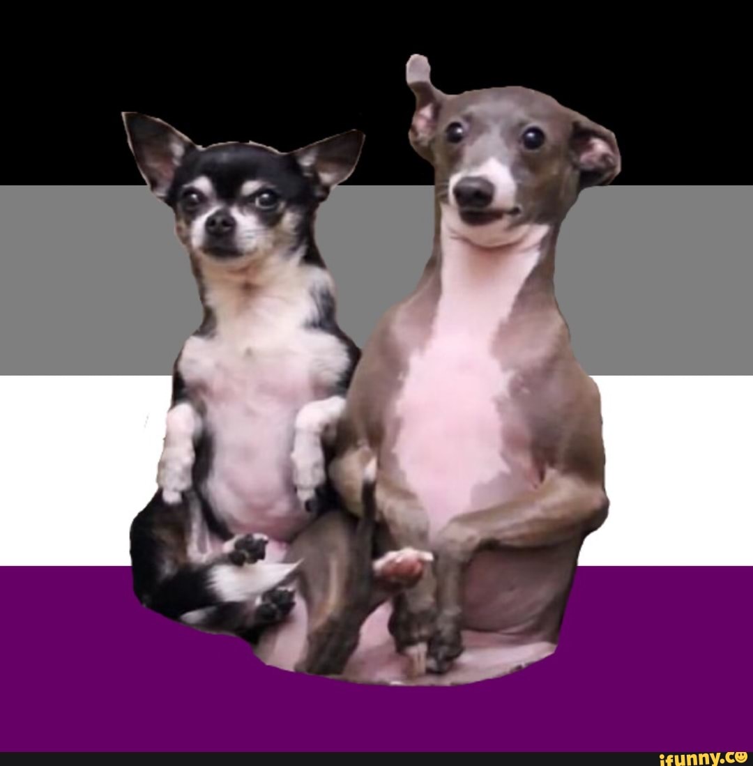 Aceflux memes. Best Collection of funny Aceflux pictures on iFunny