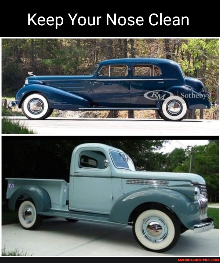 Keep Your Nose Clean - America’s best pics and videos