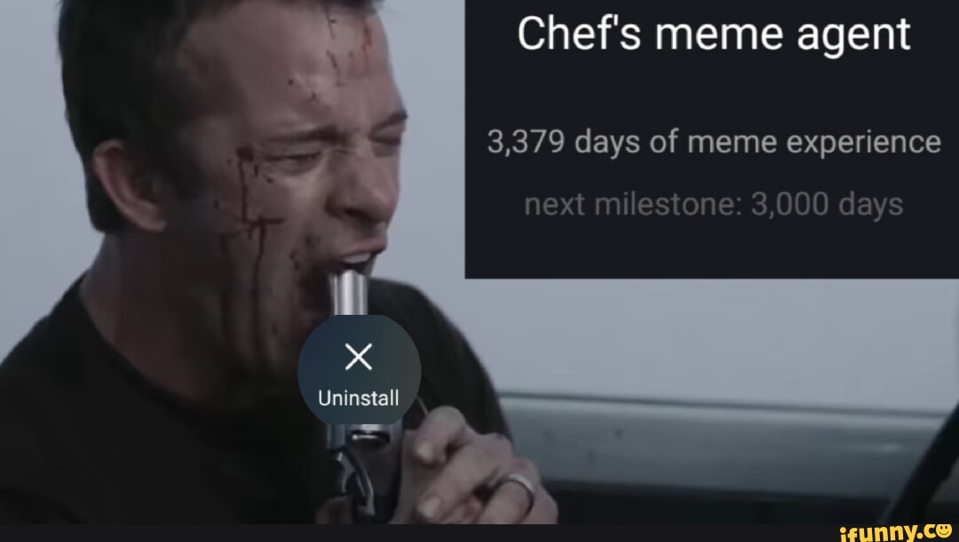 Chef's meme agent 3,379 days of meme experience next milest days ill ...