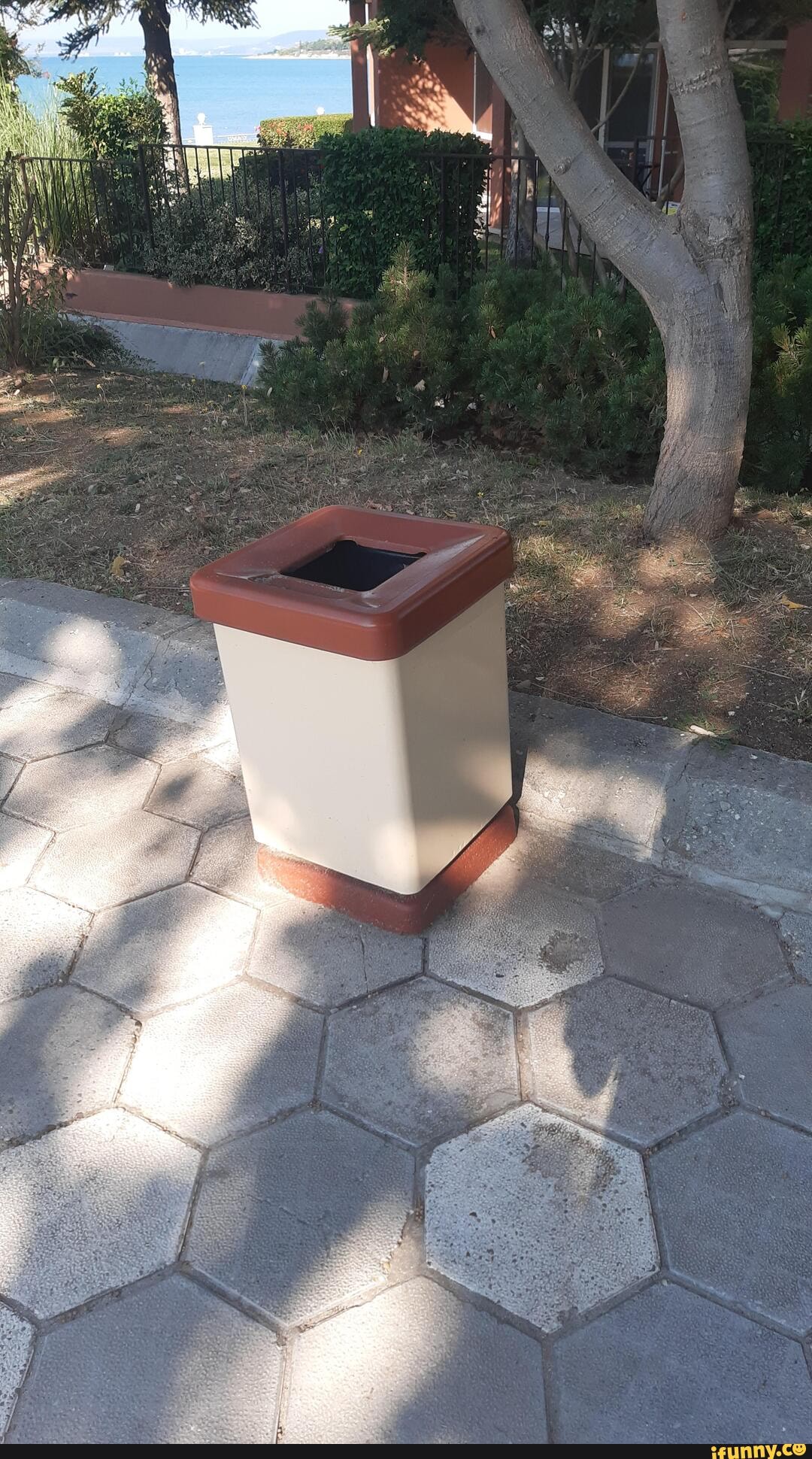 Noctua memes. Best Collection of funny Noctua pictures on iFunny