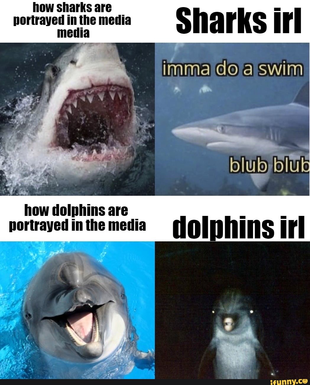 How sharks are nortrayed in media S h a rks irl imma how dolphins are ...
