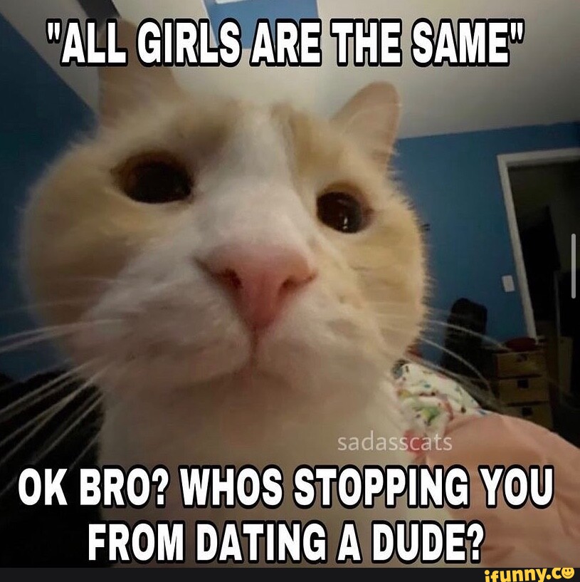 "ALL GIRLS ARE THE SAME" sad cats OK BRO? WHOS STOPPING YOU FROM DATING ...