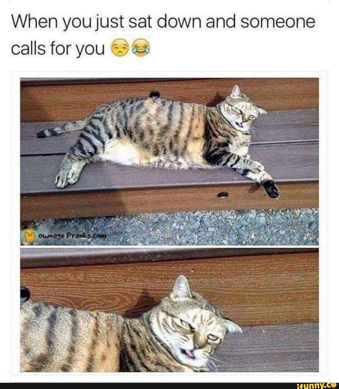 when-you-just-sat-down-and-someone-calls-for-you