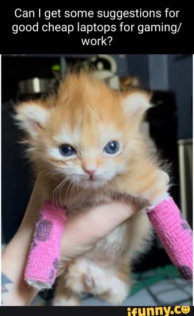 Laptops memes. Best Collection of funny Laptops pictures on iFunny