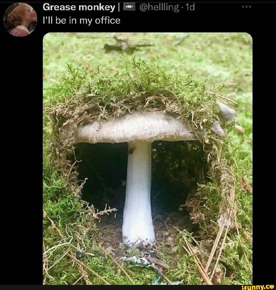 Grease monkey I @hellling - id I'll be in my office I - iFunny