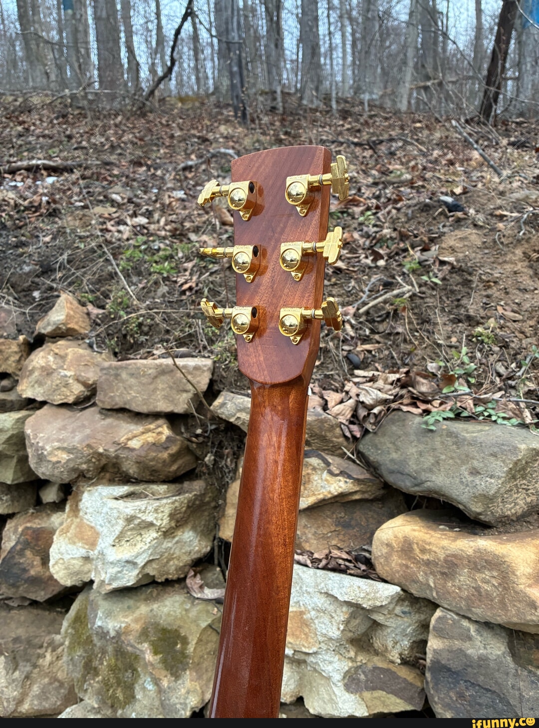 Guitar memes. Best Collection of funny Guitar pictures on iFunny