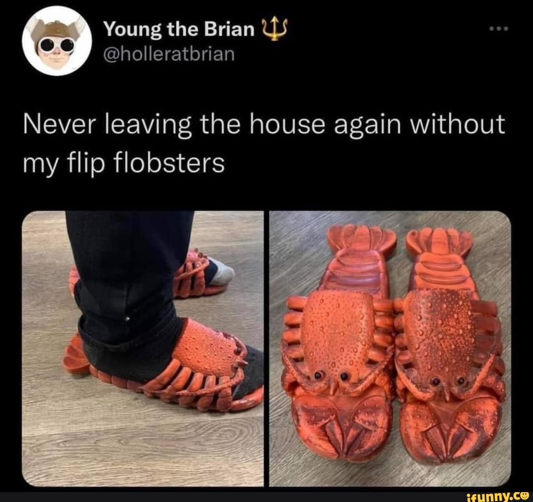 Flobsters memes. Best Collection of funny Flobsters pictures on iFunny