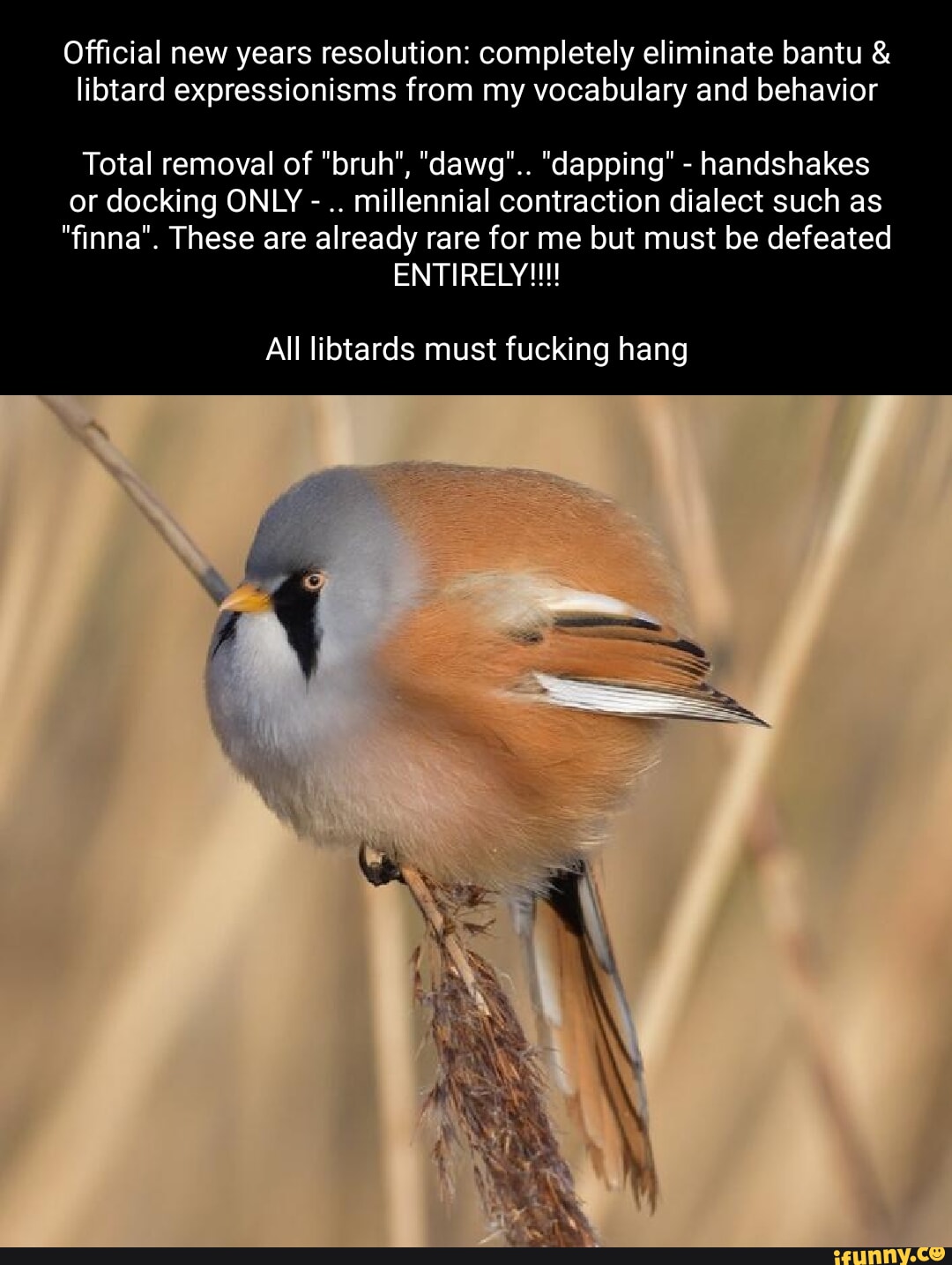 Docking memes. Best Collection of funny Docking pictures on iFunny