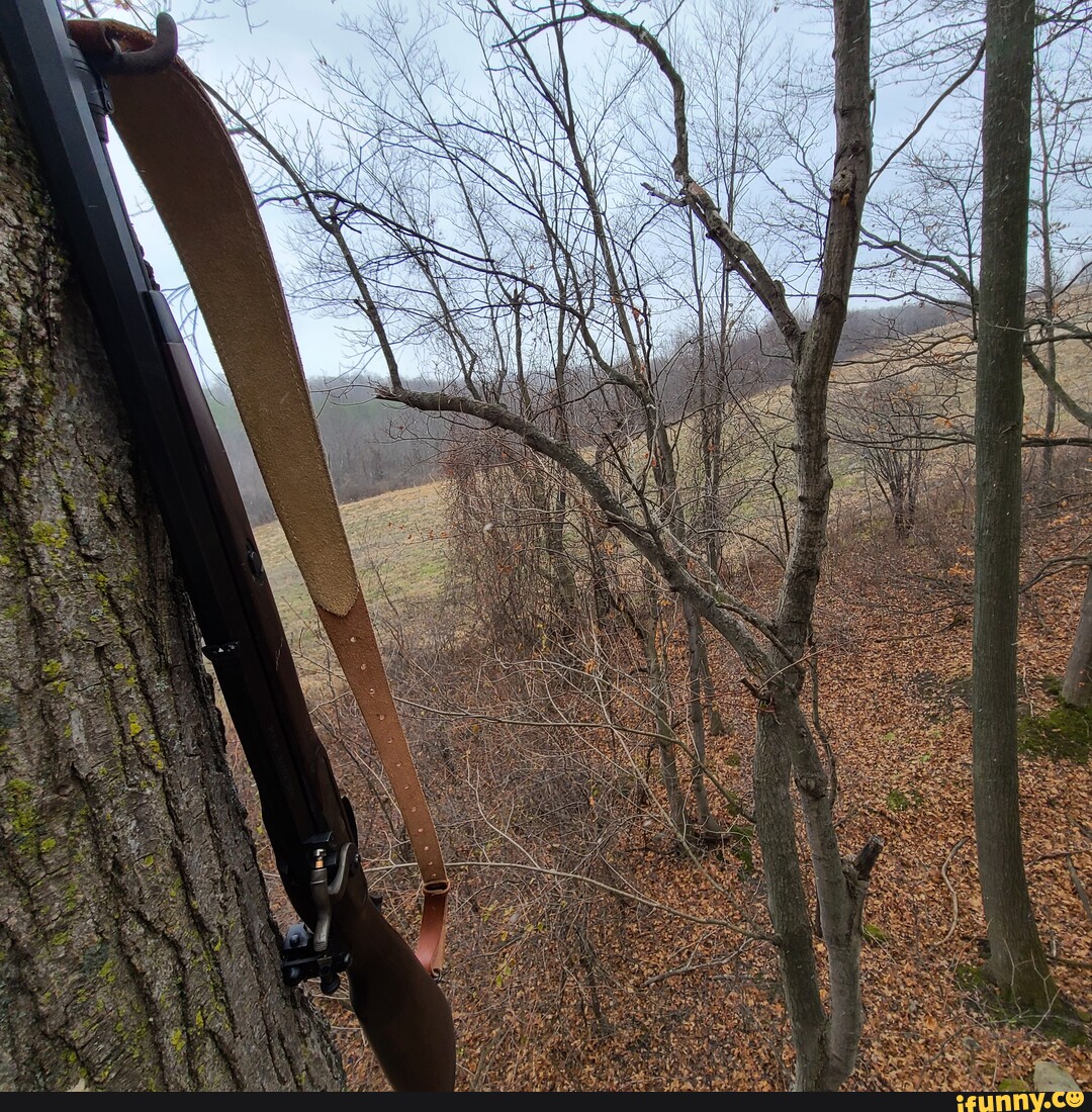 Muzzleloader memes. Best Collection of funny Muzzleloader pictures on ...