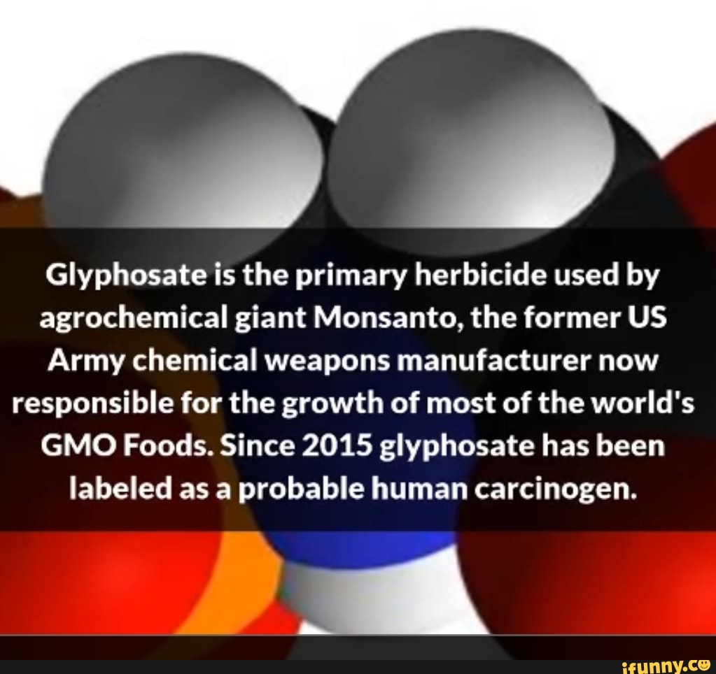 Glyphosate is the primary herbicide used by agrochemical giant Monsanto ...