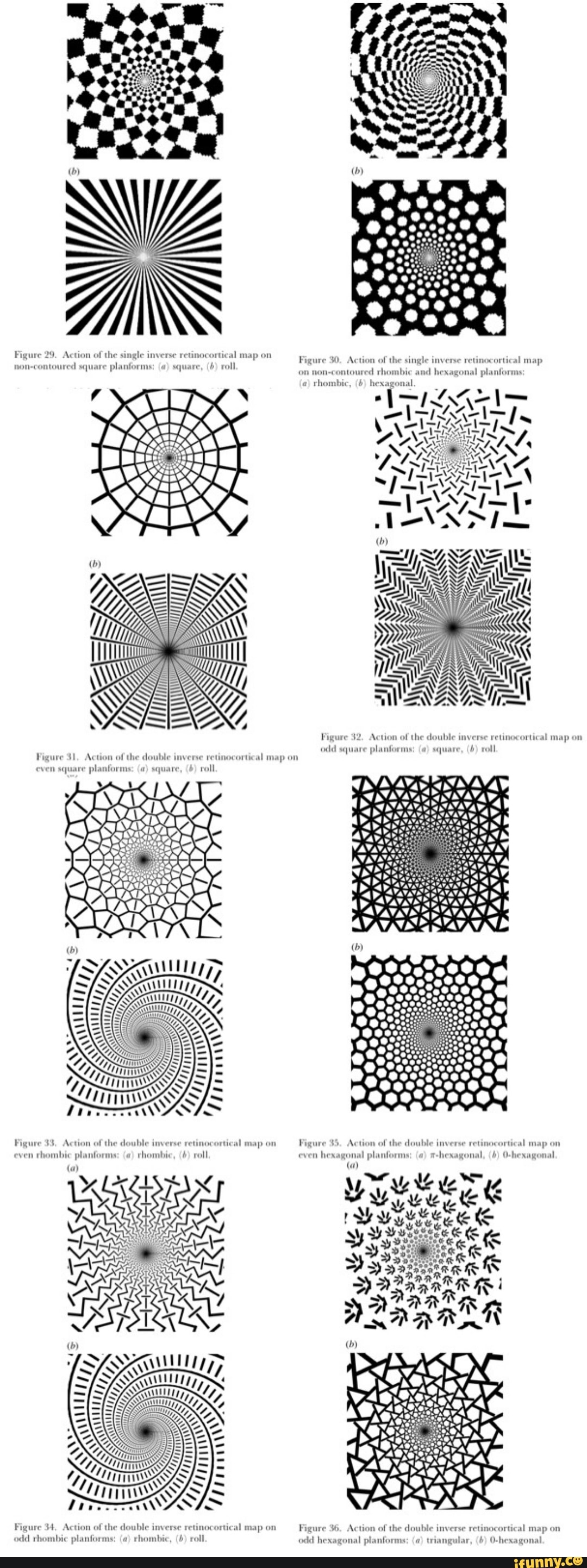 NZ Action Figure 31, Action of the double inverse re all Figure 93 ...