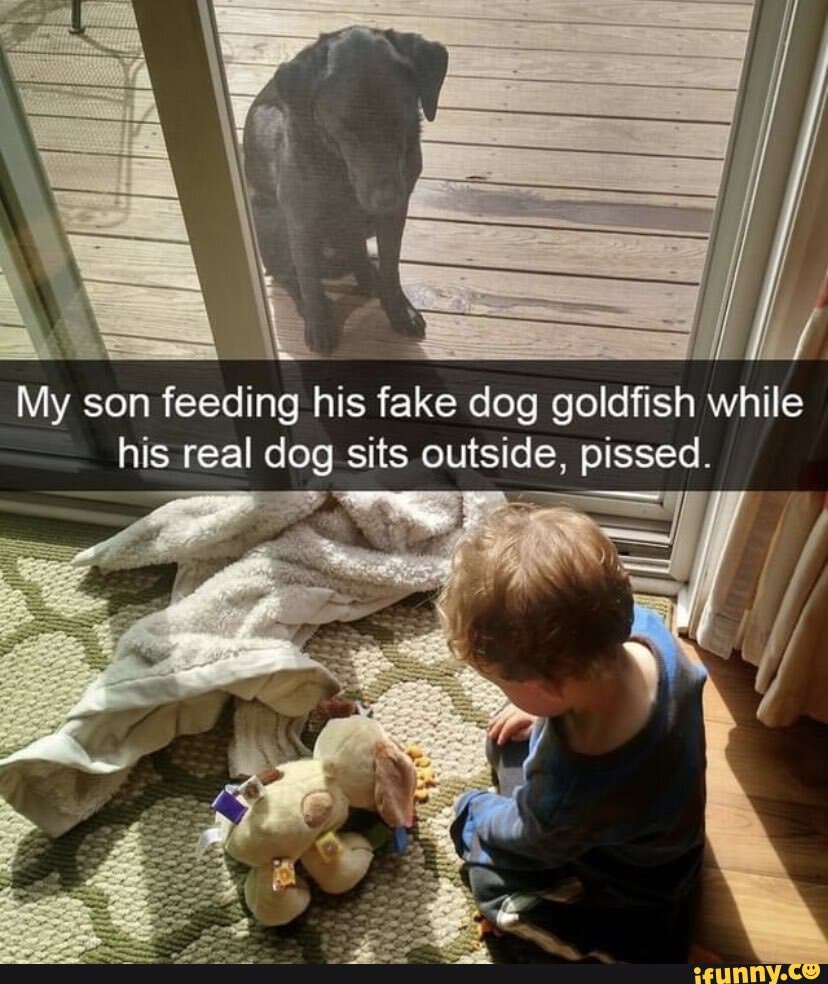 My son feeding his fake dog goldfish while his real dog sits outside ...