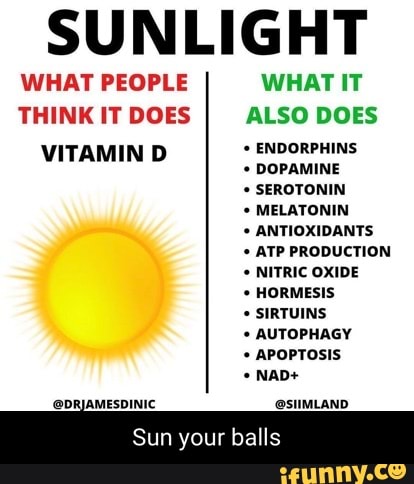 Apoptosis memes. Best Collection of funny Apoptosis pictures on iFunny