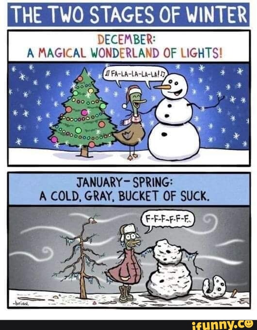 THE TWO STAGES OF WINTER DECEMBER: A MAGICAL WONDERLAND OF LIGHTS ...