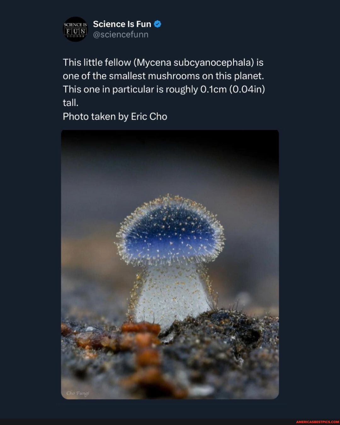 How cute is this?😍 Checkout @sciencefunn for more science and daily ...