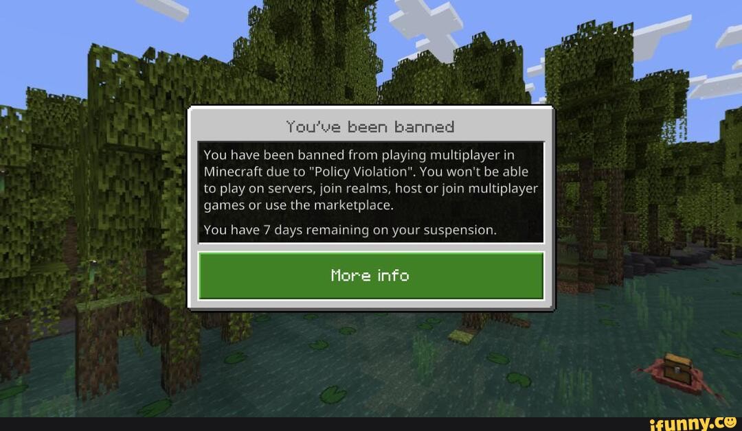 You've been banned You have been banned from playing multiplayer in ...