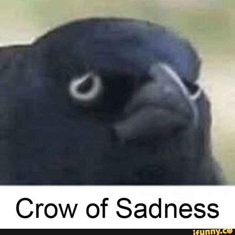 Crow of Sadness - iFunny