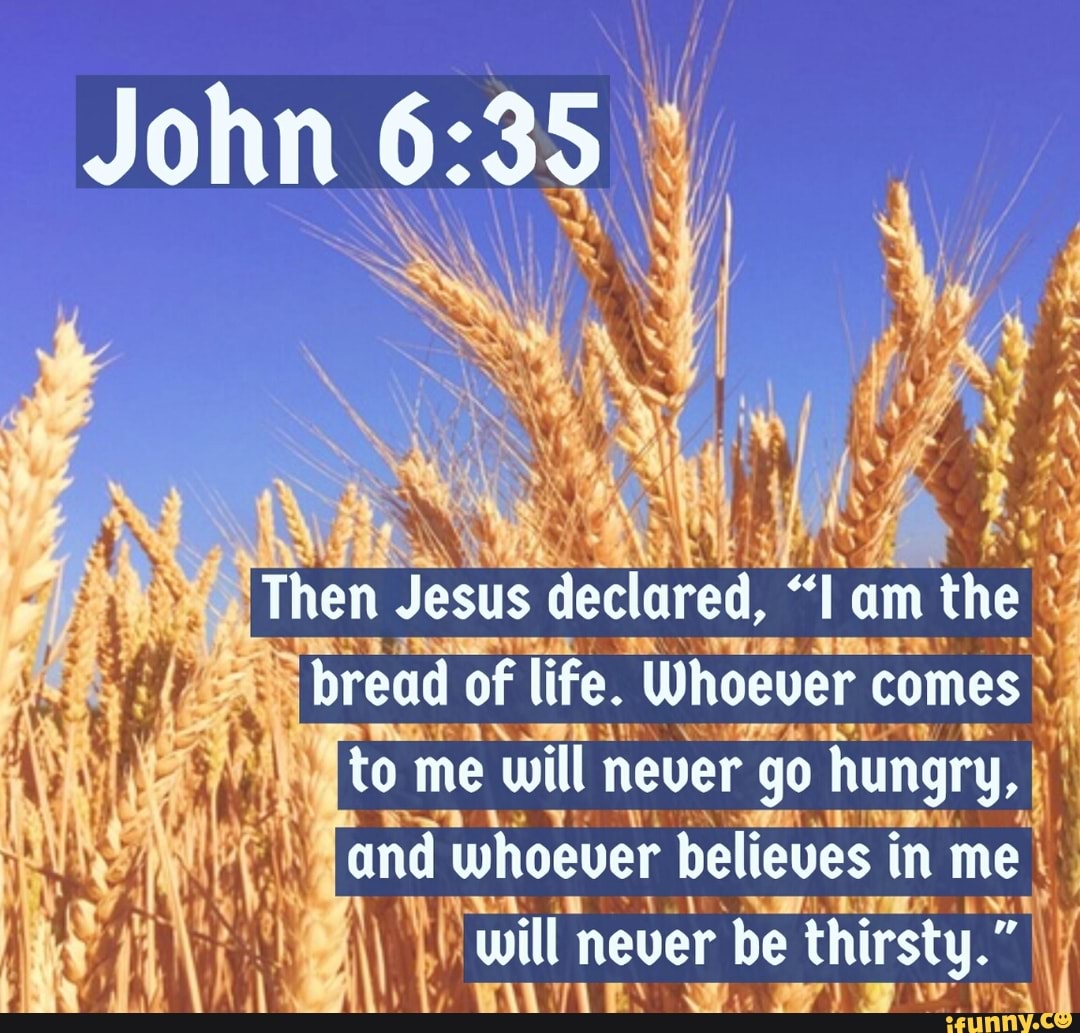 John AN, Then Jesus declared, "l am the bread of life. Whoever comes to ...