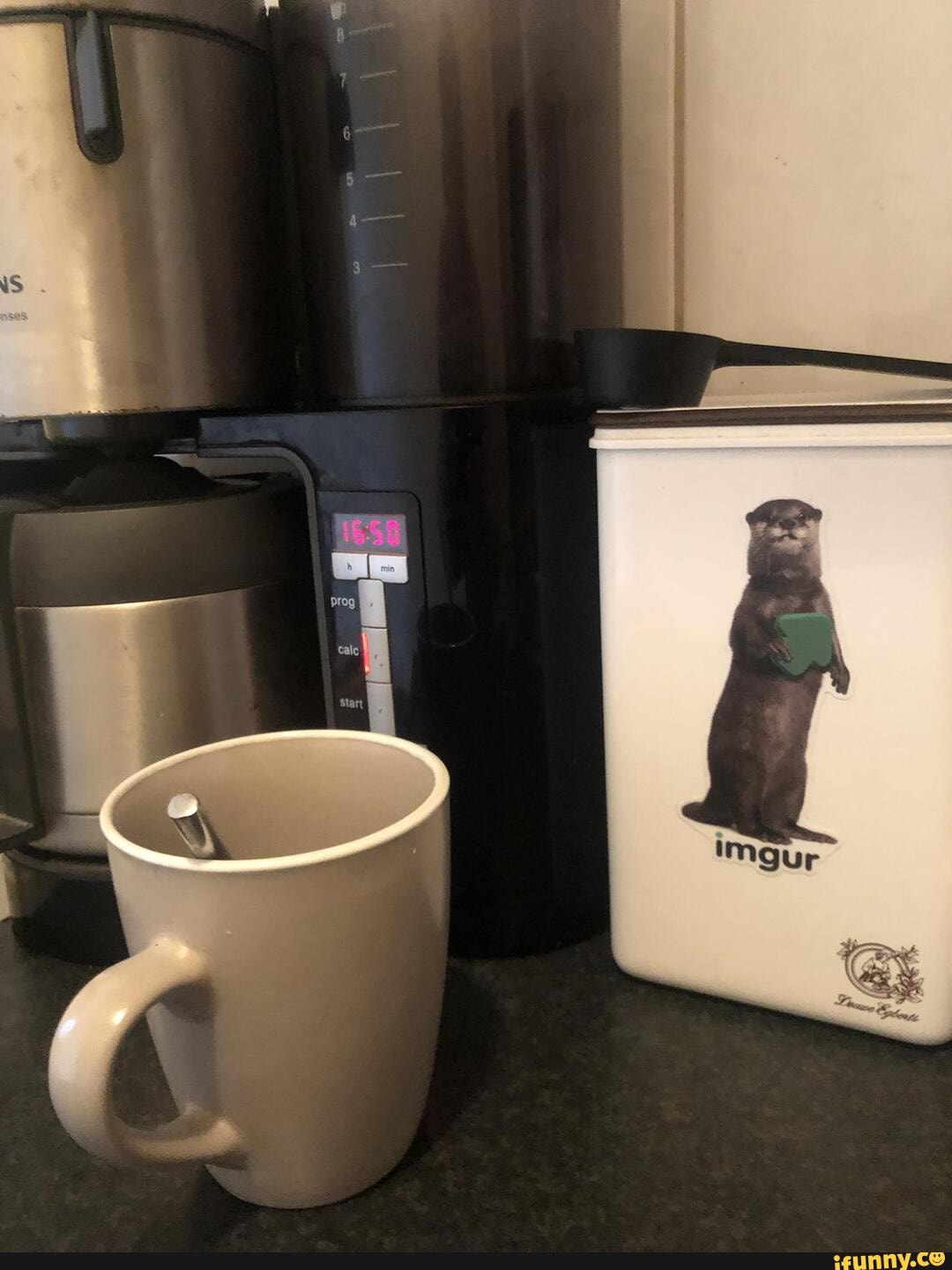 Daily_dose_of_imgur memes. Best Collection of funny Daily_dose_of_imgur ...