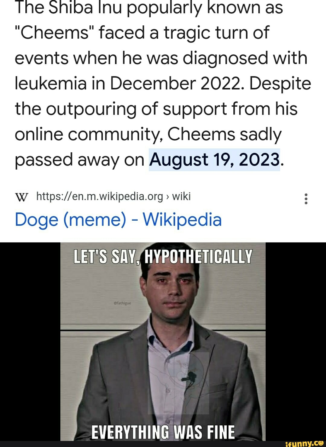 The snida Inu popularly known as "Cheems' faced a tragic turn of events ...