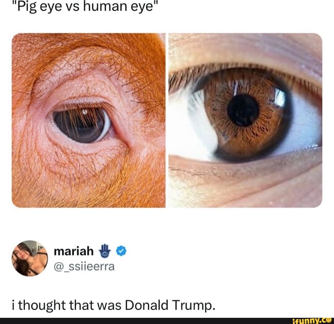 "Pig eye vs human eye" of mariah ssiieerra i thought that was Donald ...