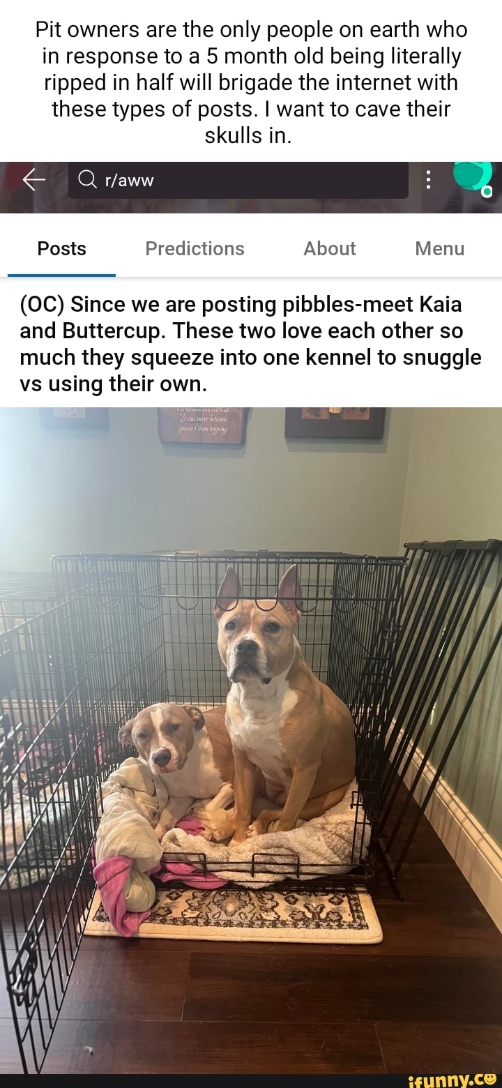 Pit owners are the only people on earth who in response to a 5 month ...
