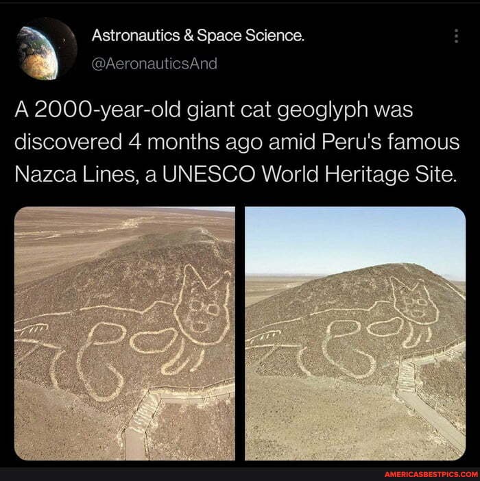 Astronautics & Space Science. @AeronauticsAnd A 2000-year-old giant cat ...