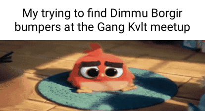 My trying to find Dimmu Borgir bumpers at the Gang Kvit meetup - iFunny