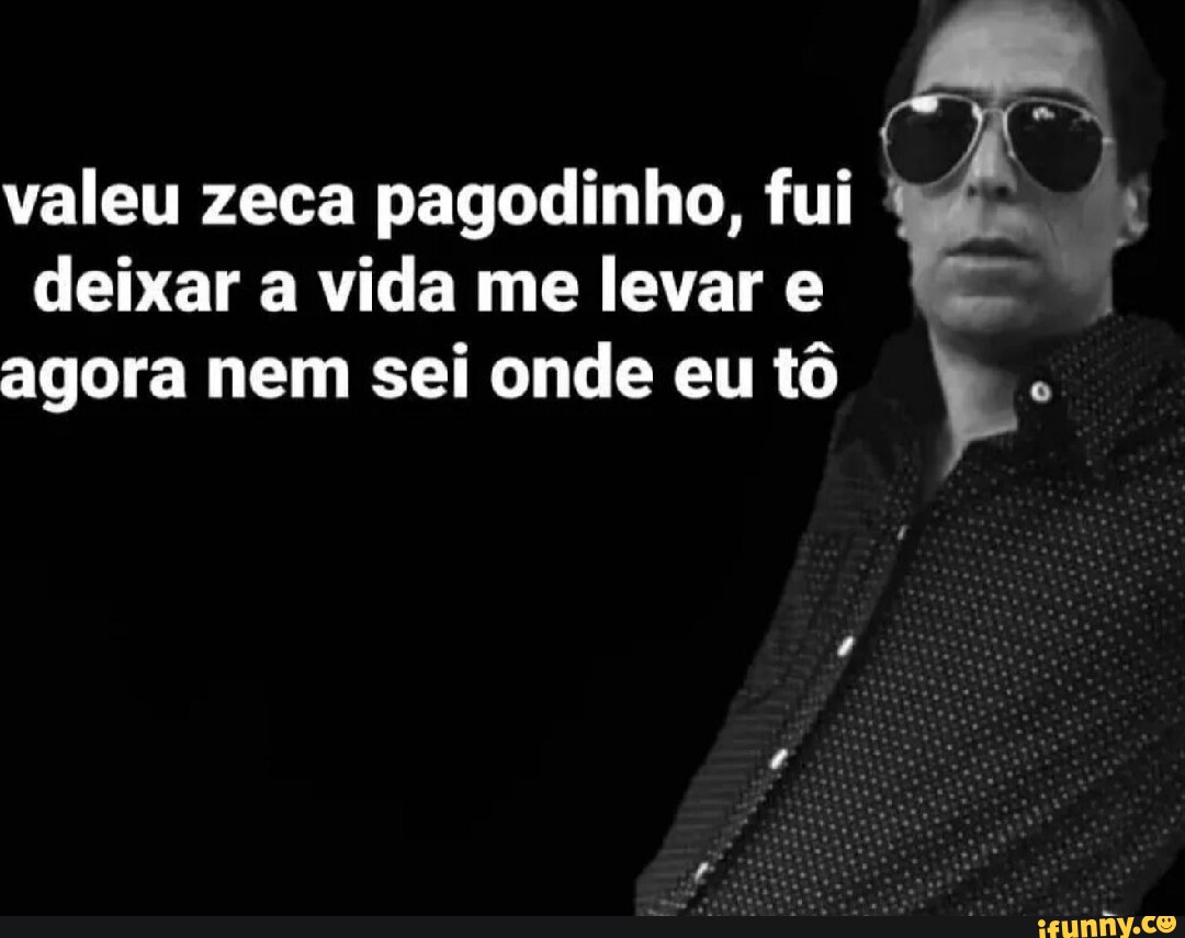 TO valeu zeca pagodinho, fui deixar a vida me levar e agora nem sei ...
