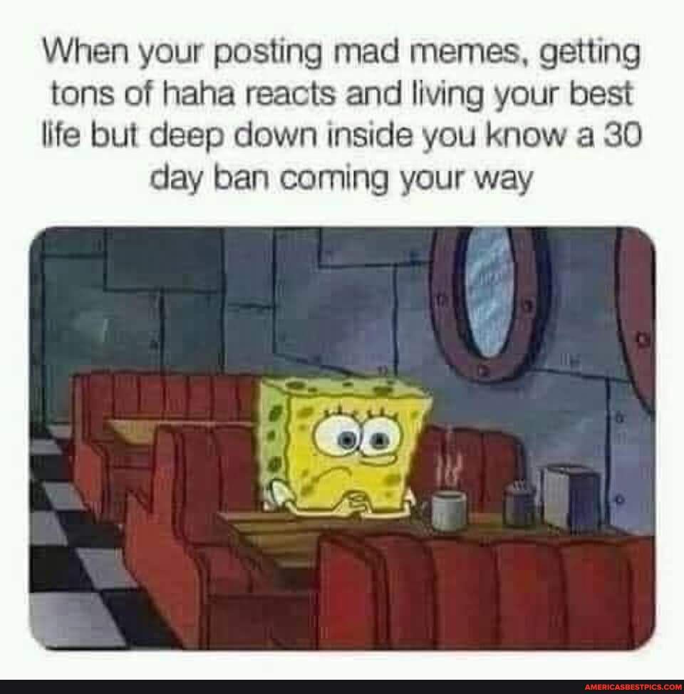 When your posting mad memes, getting tons of haha reacts and living ...