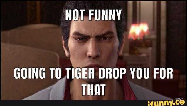 NOT FUNNY GOING TO TIGER DROP YOU FOR THAT - iFunny