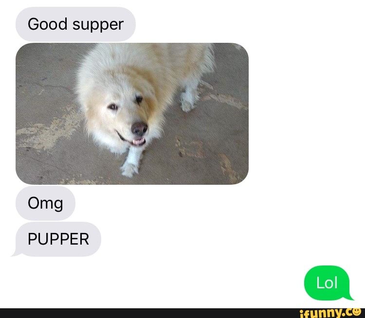 Omg Dog Meme