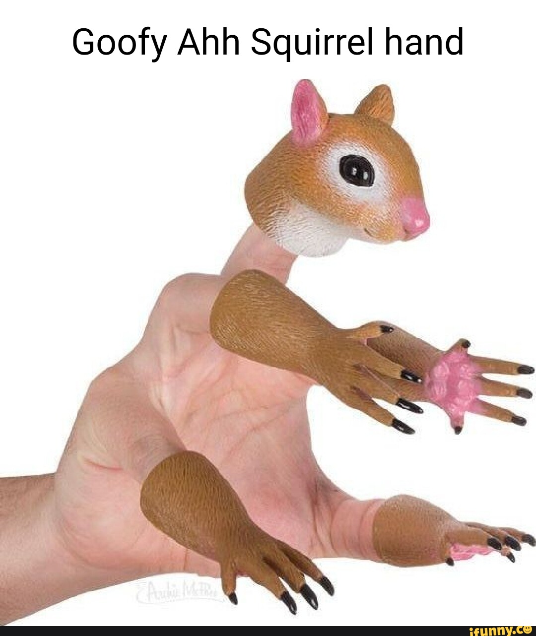 Goofy Ahh Squirrel hand - iFunny