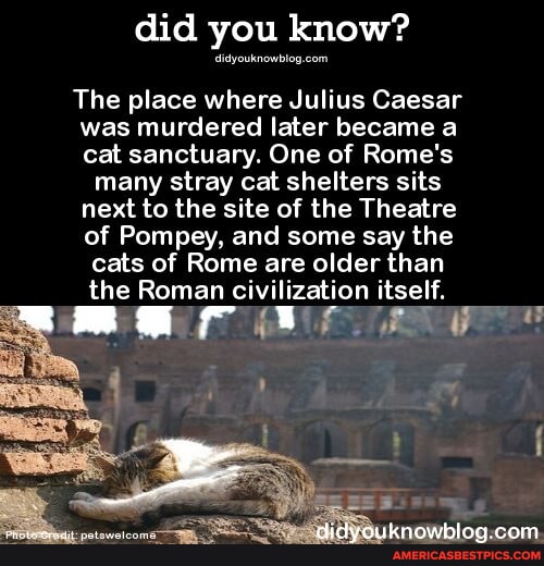 Did you know? The place where Julius Caesar was murdered later became a ...