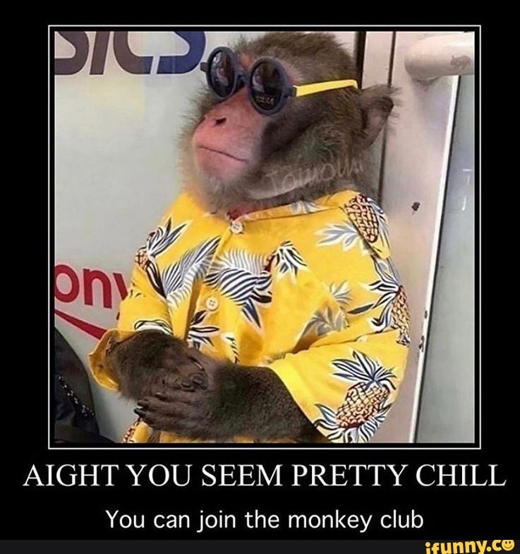 AIGHT YOU SEEM PRETTY CHILL You can join the monkey club - iFunny
