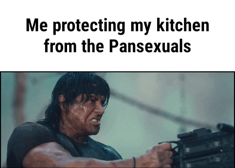 Me protecting my kitchen from the Pansexuals - iFunny