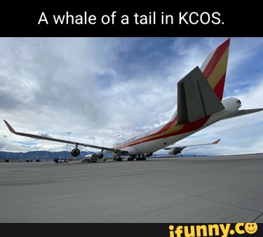 Nice_ass memes. Best Collection of funny Nice_ass pictures on iFunny